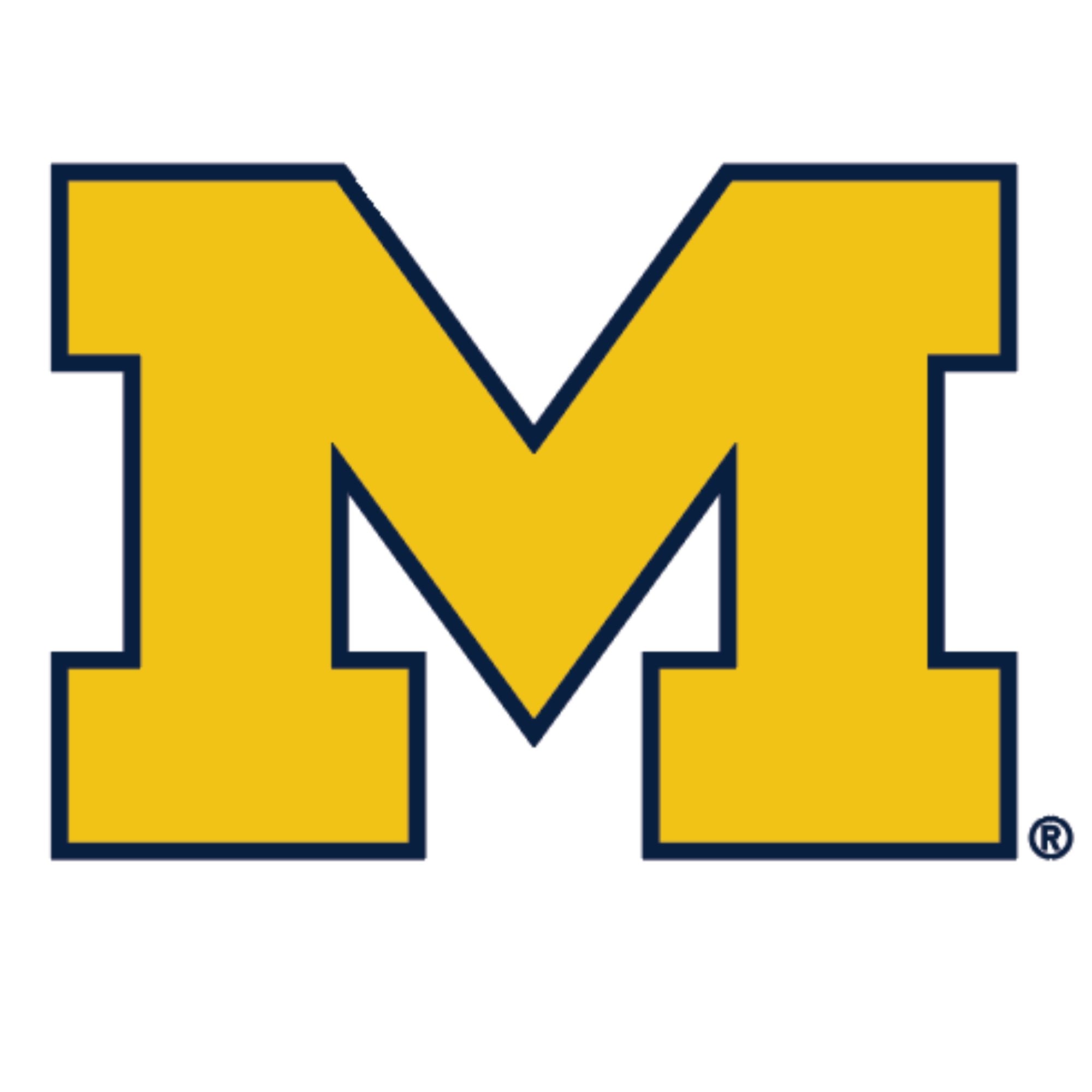 Michigan Wolverines Socks - UMich Fan Gear Merch for Men & Women ...