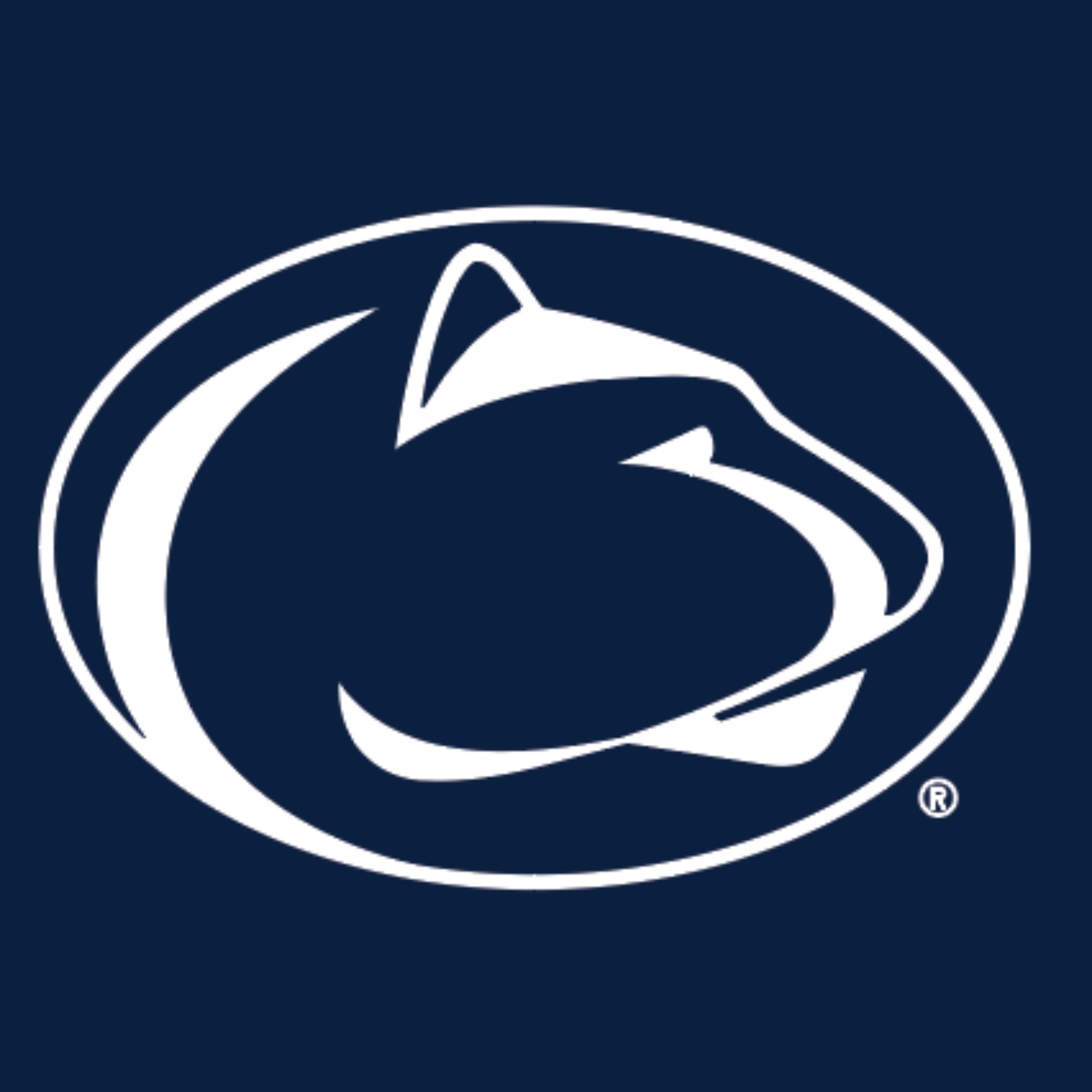Penn State Socks | Nittany Lions Socks | PSU Socks Gift – MadSportsStuff