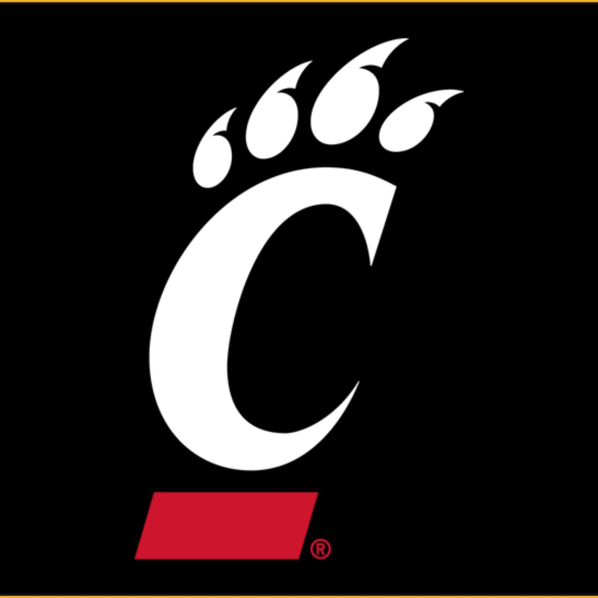 Cincinnati Bearcats Socks - College Fan Gear Merch for Men & Women ...